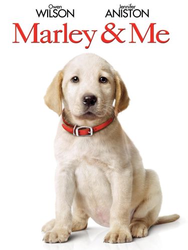 Marley & Me (2008) - David Frankel | Synopsis, Characteristics, Moods, Themes and Related | AllMovie